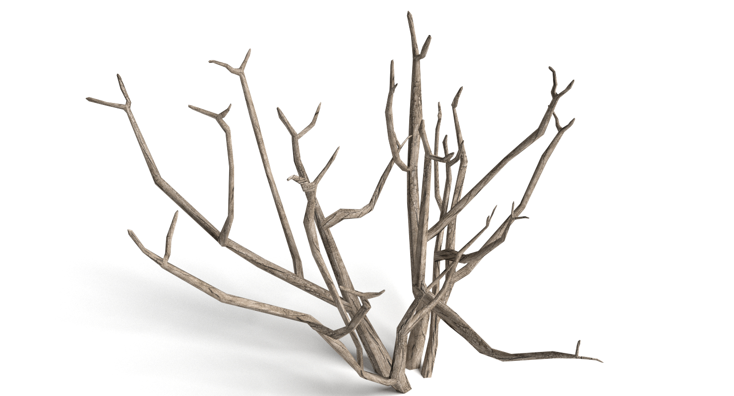 maya dead bush