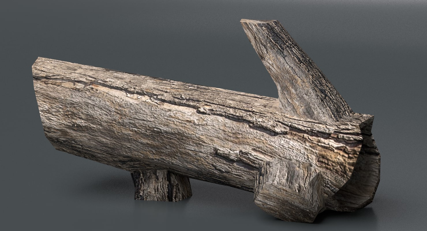 dead log 3d model