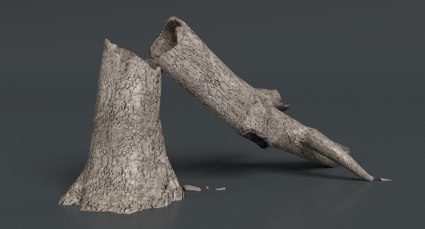 3d model dead fallen tree