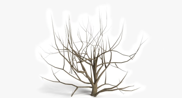 3d model dead bush