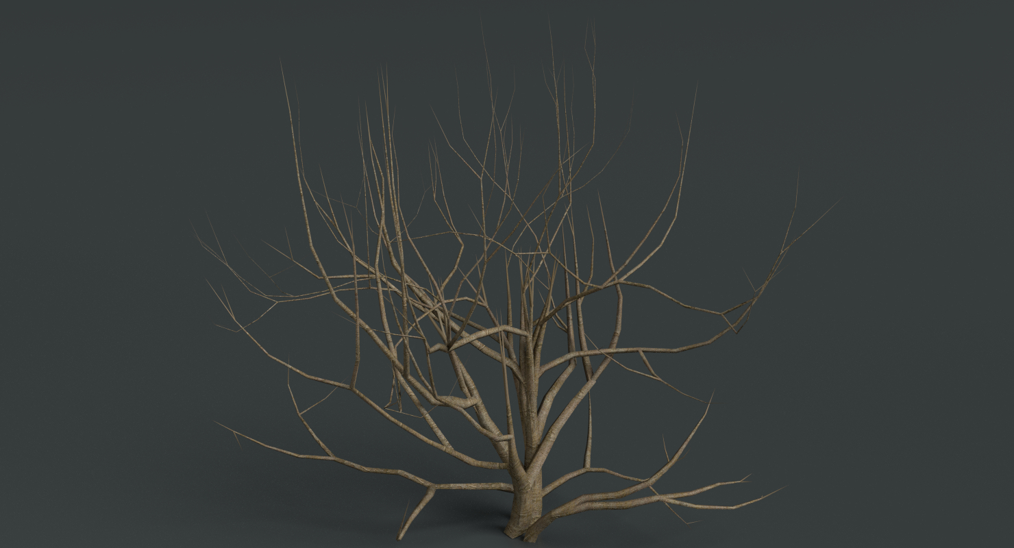3d model dead bush