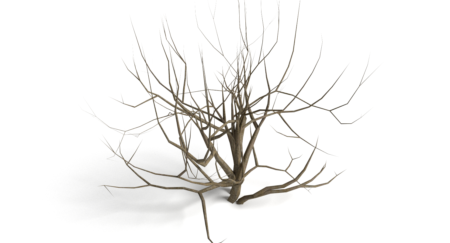 3d model dead bush