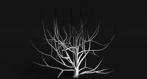 3d model dead bush