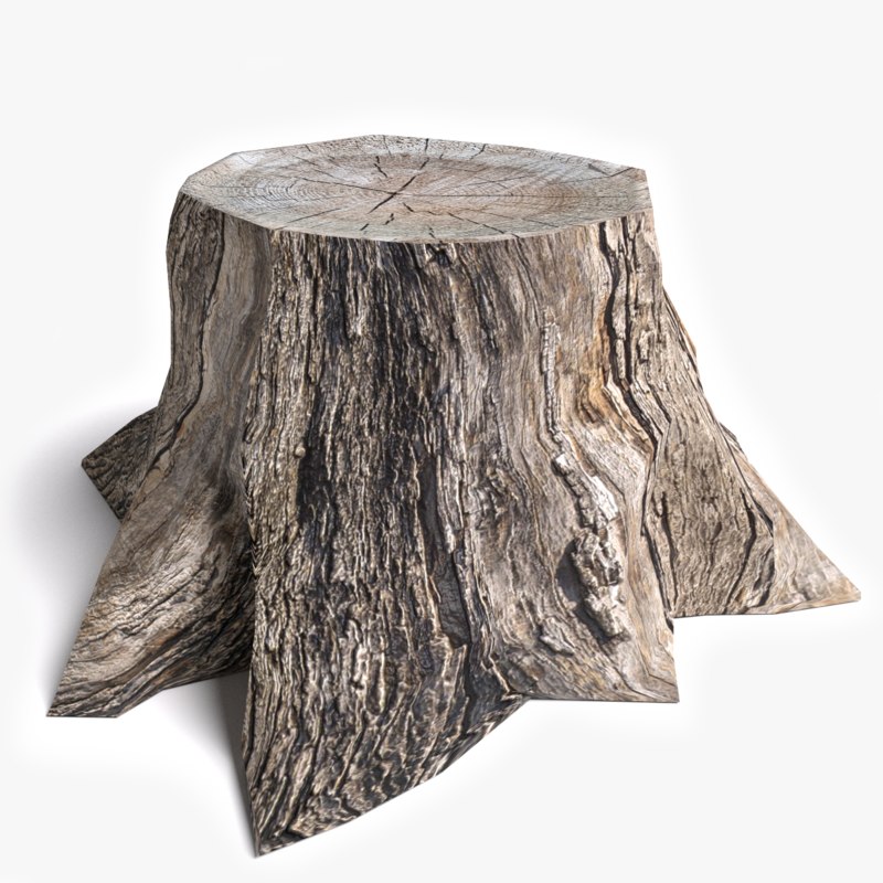 dead tree stump 3d model
