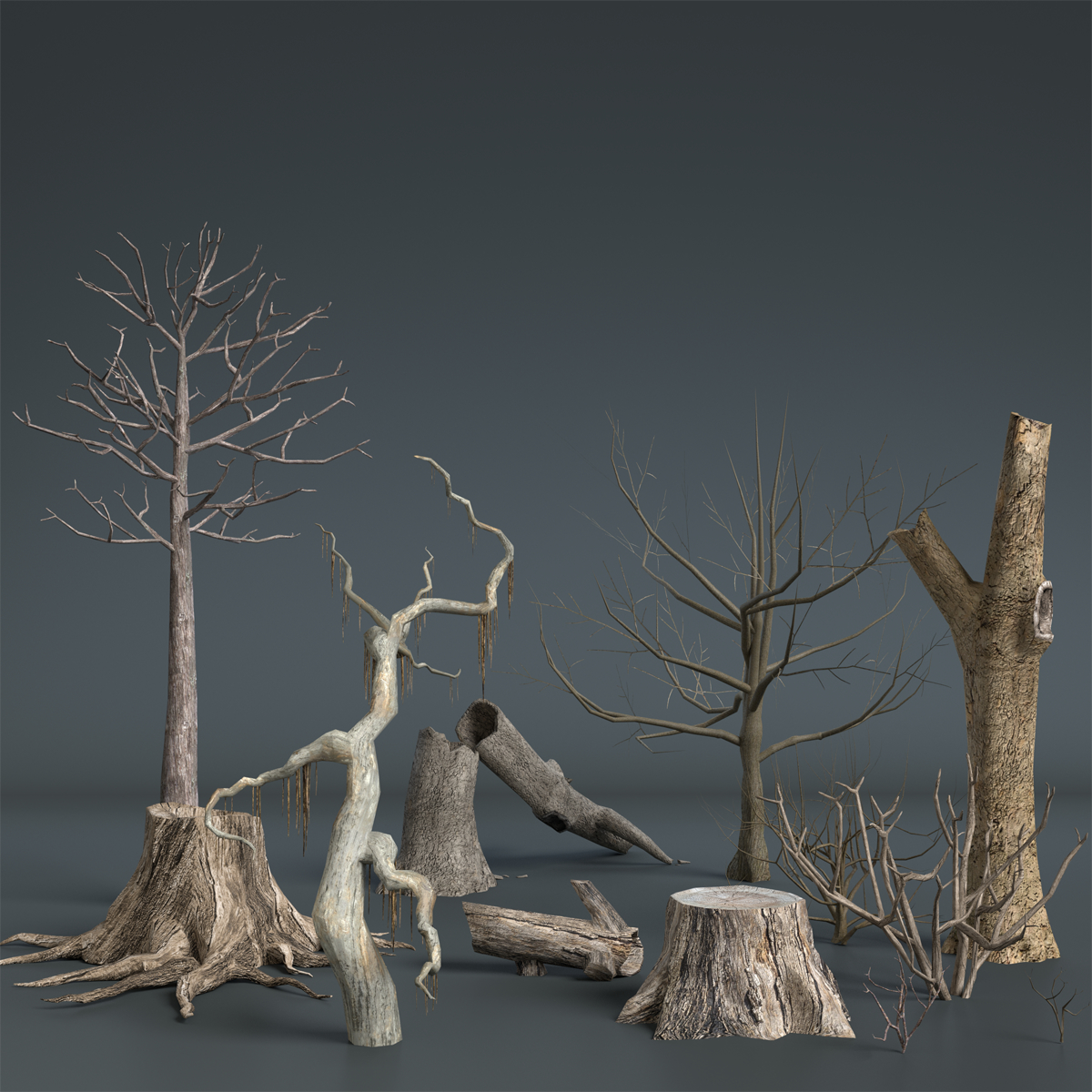 3d dead plant tree model