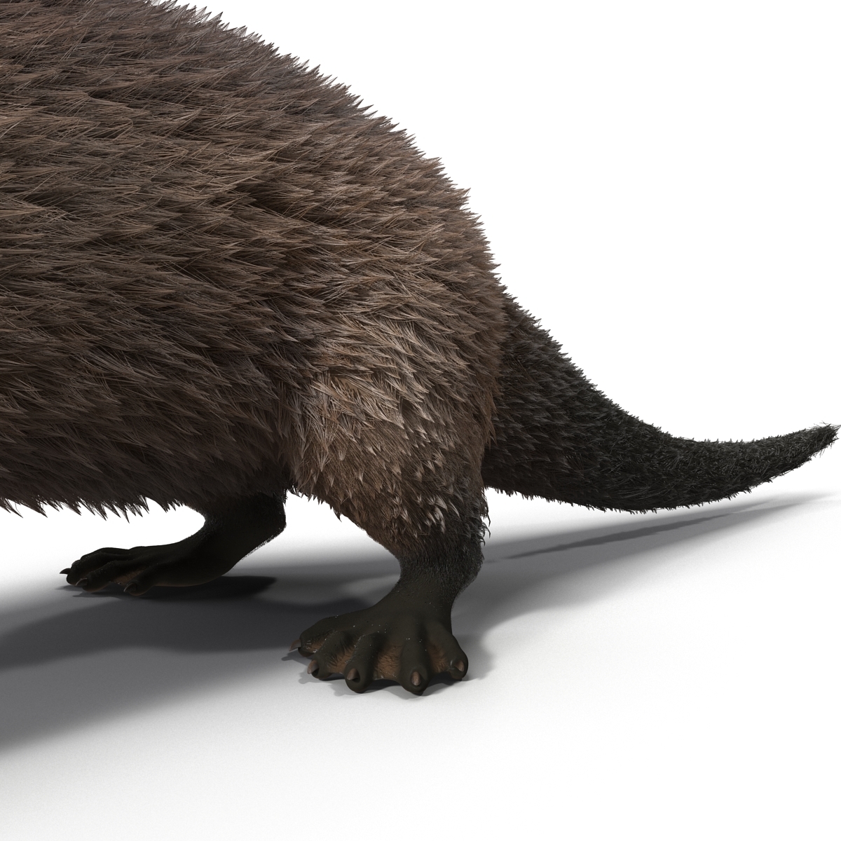 3d model otter fur