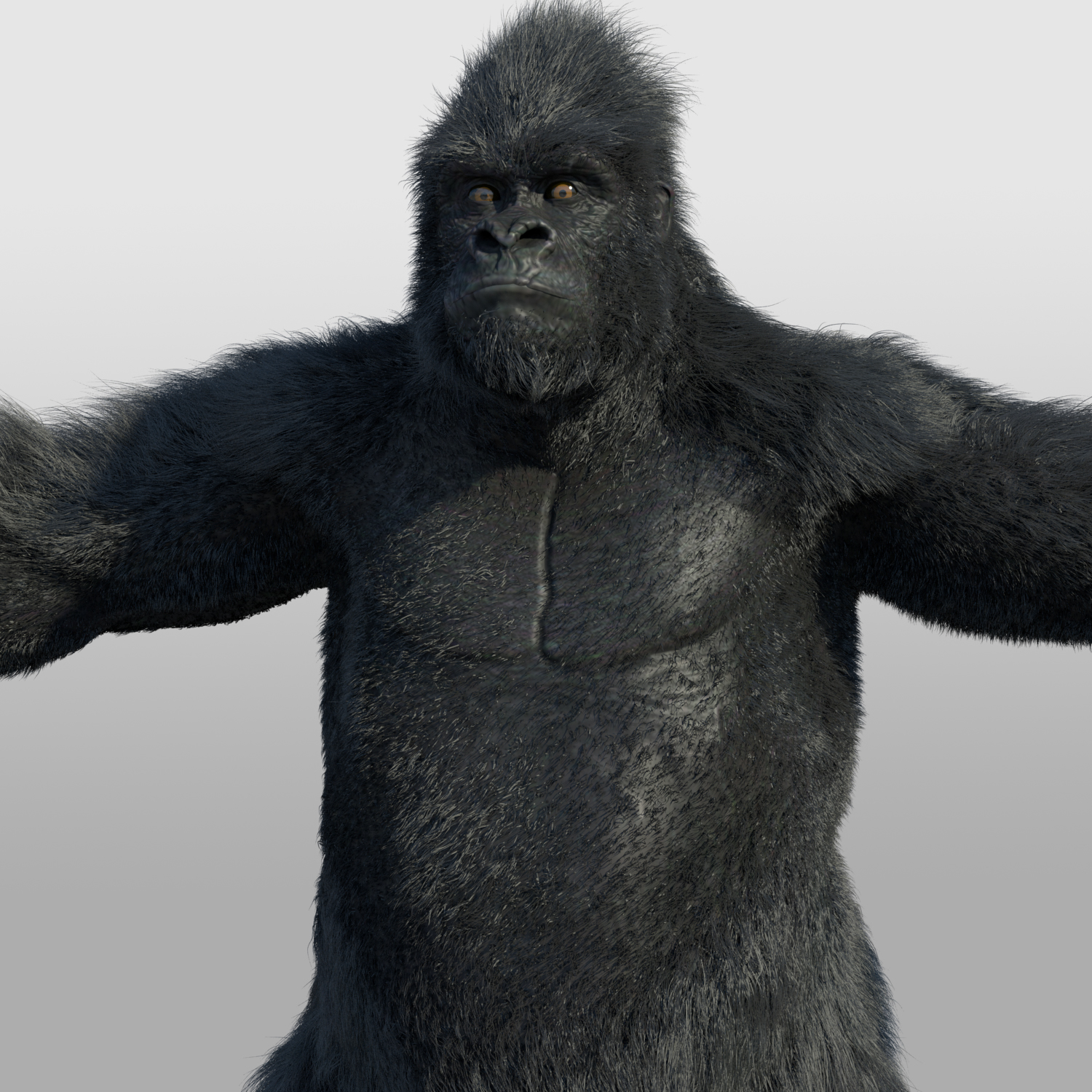 3d ape primate gorilla model