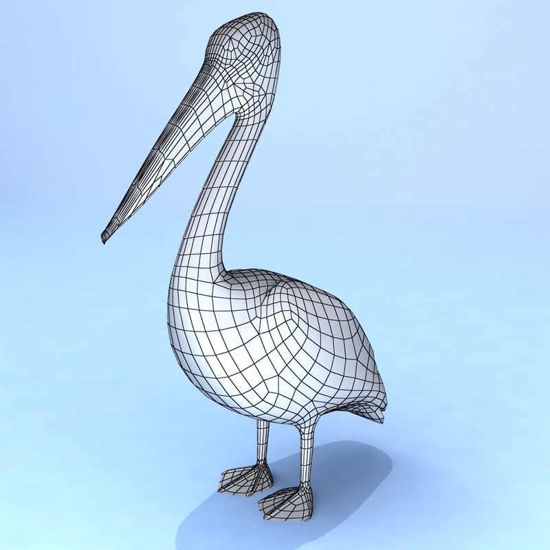 3d model of pelican