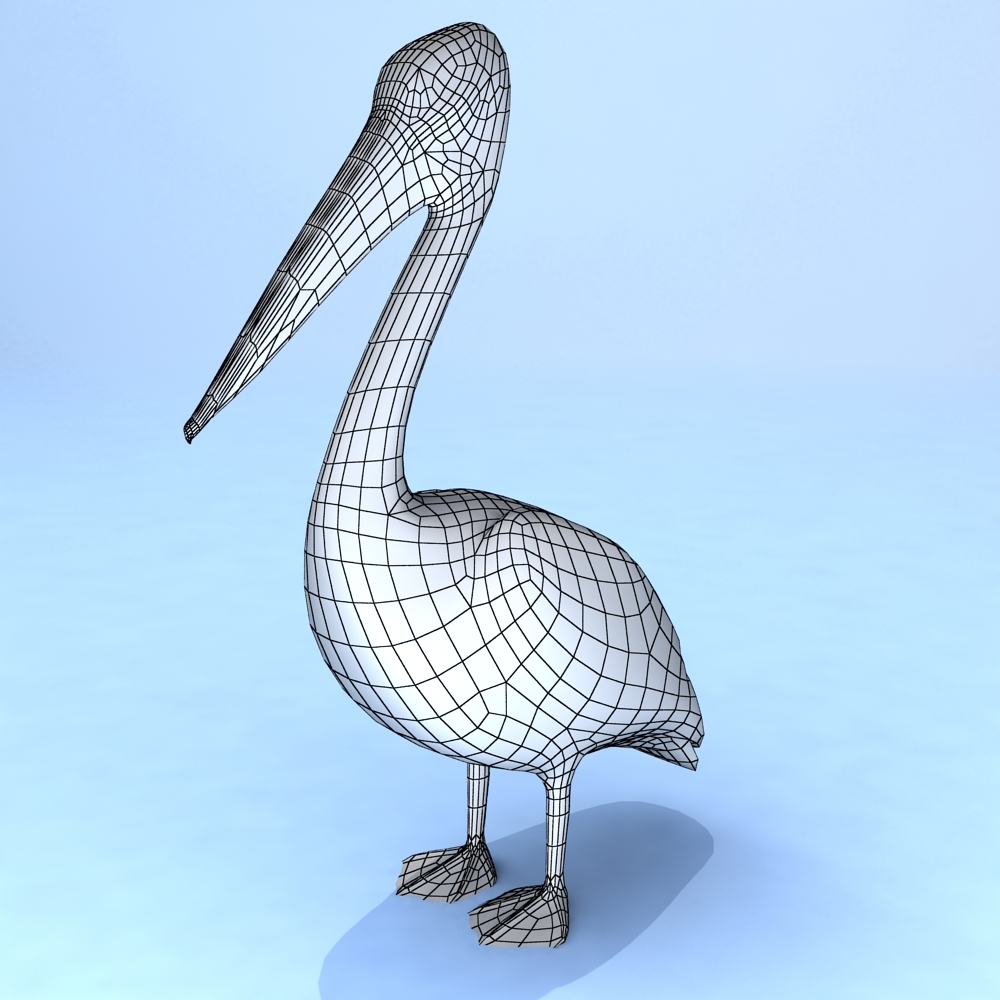 3d model of pelican