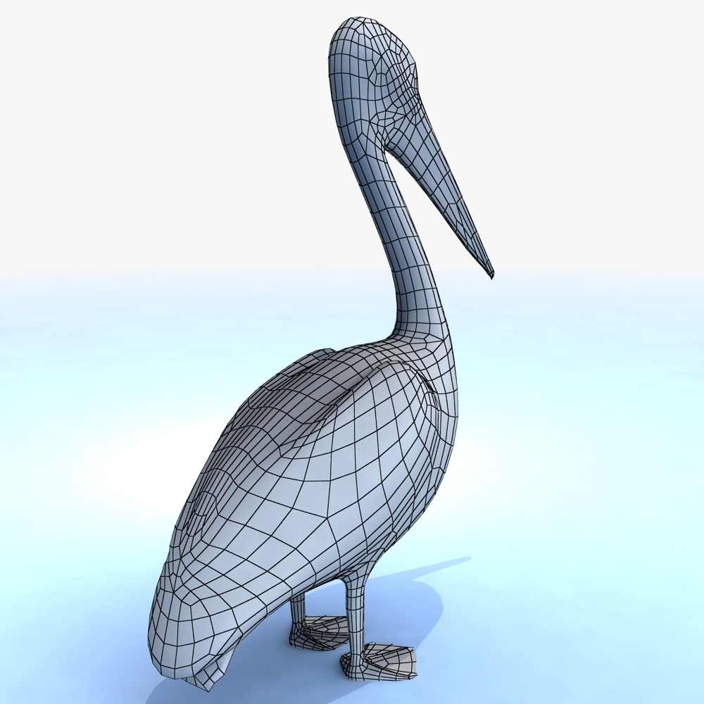 3d model of pelican