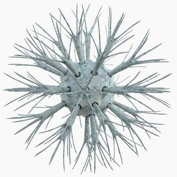 max micro object mht