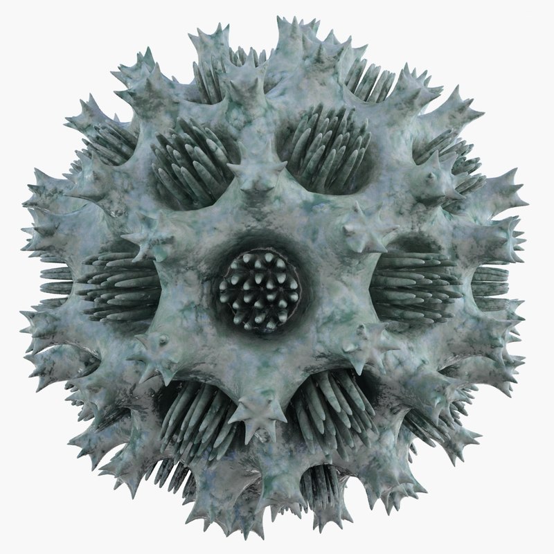 micro object mht 3d max