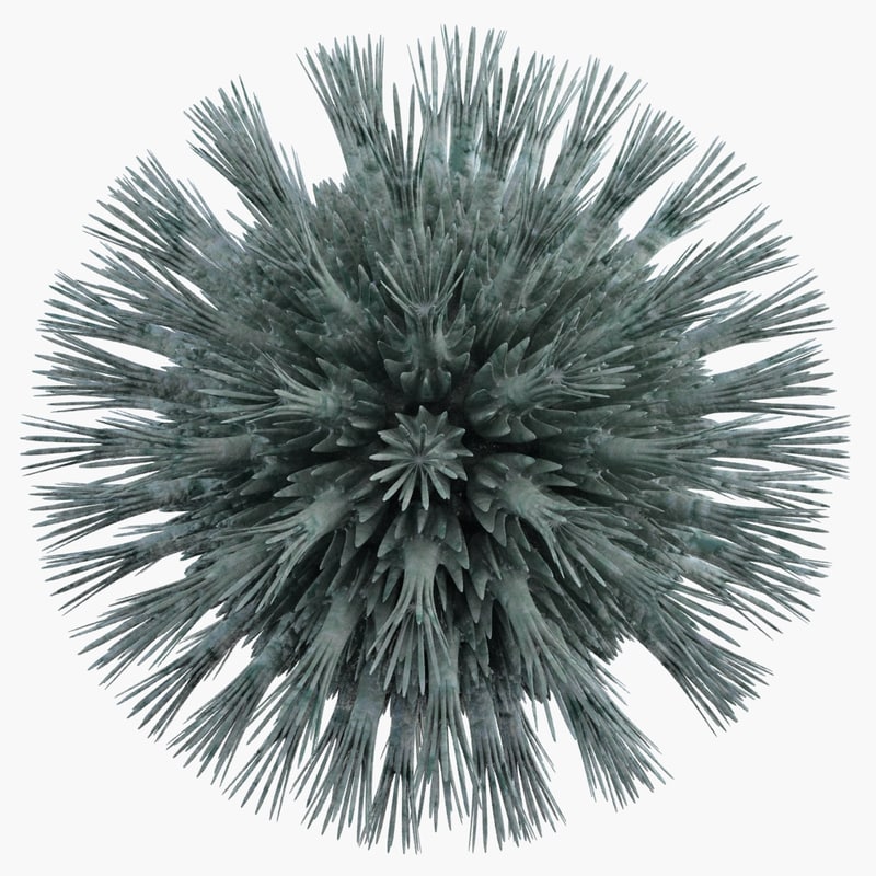 micro object mht 3d model