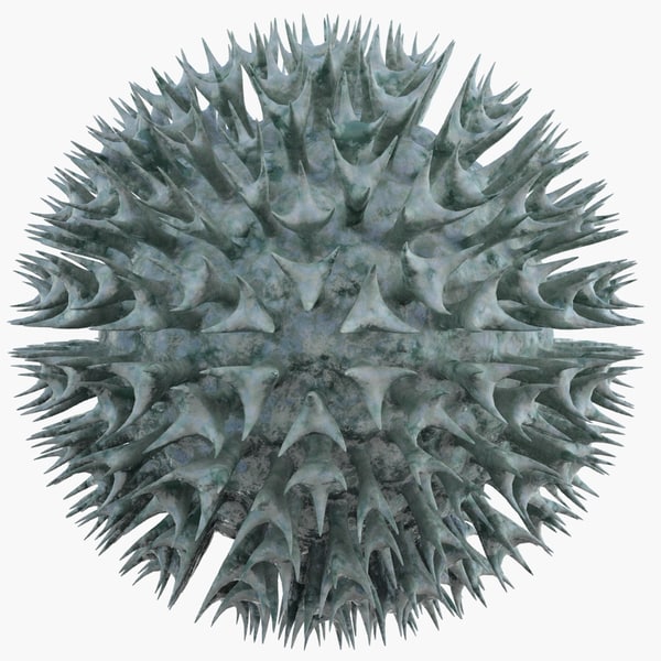 3d model micro object mht