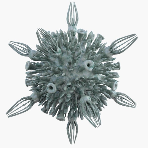 modelo 3d Micro Objeto MHT 043 - TurboSquid 890461