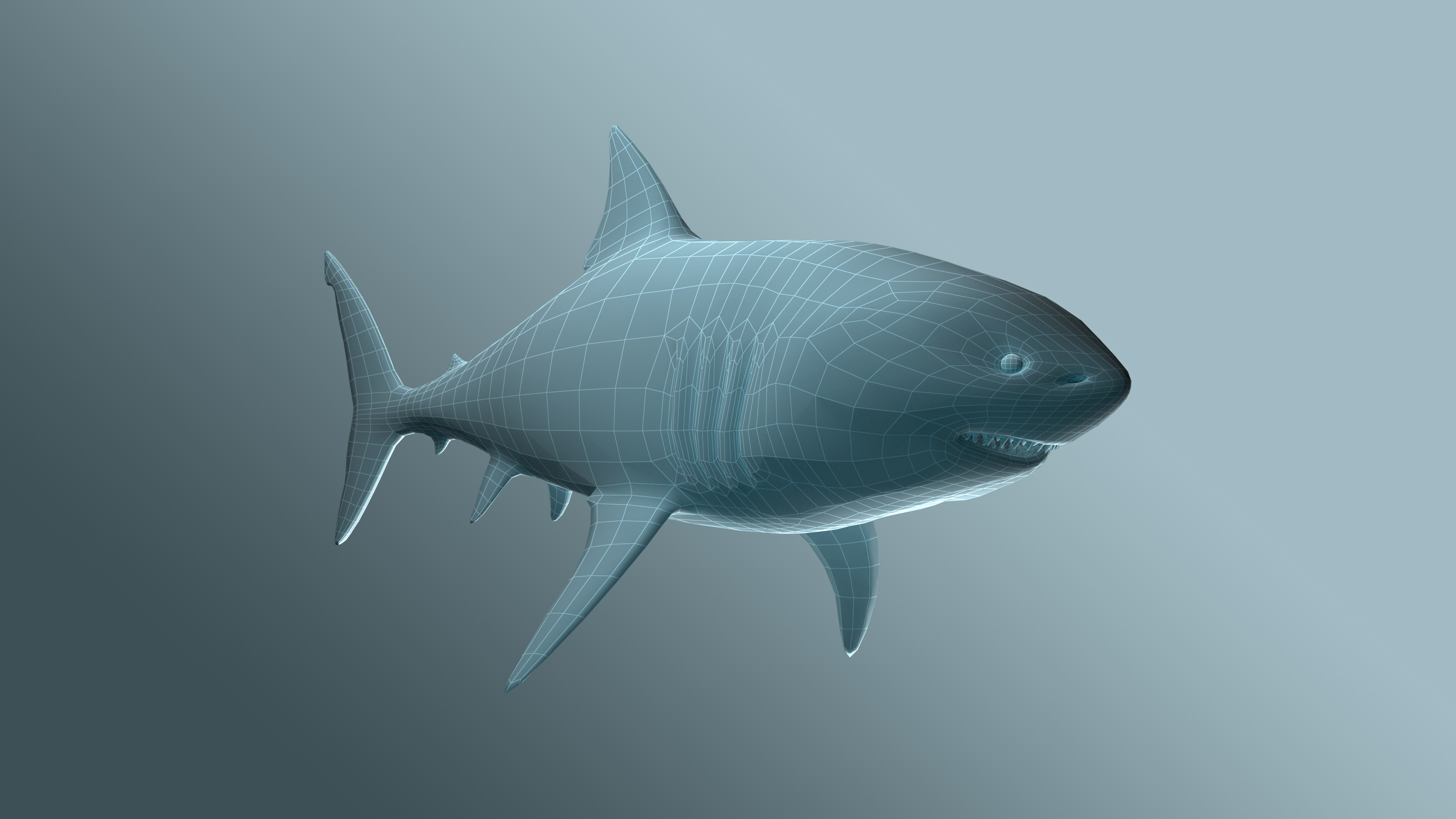 Hai 3D-Modell - TurboSquid 890787