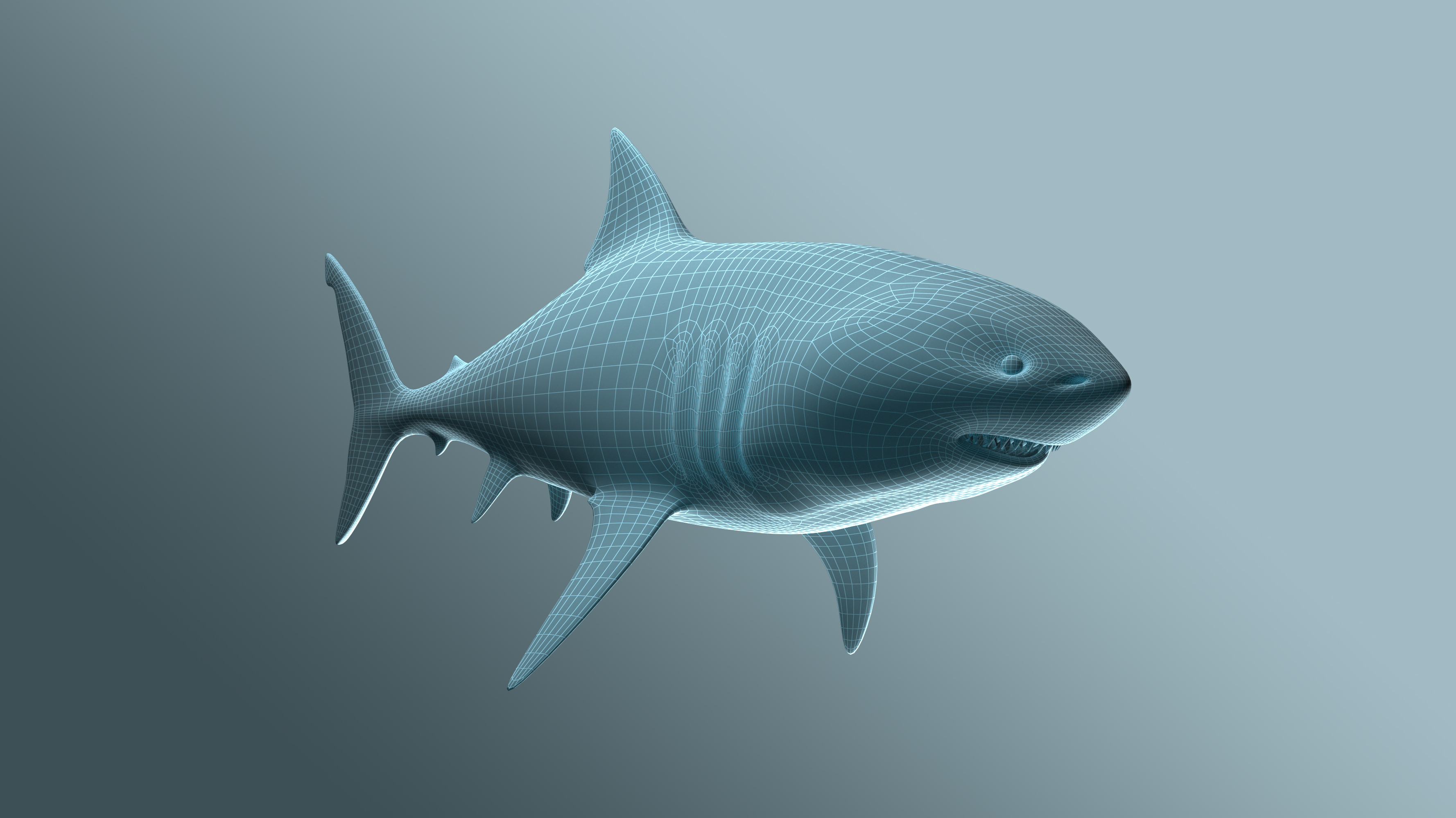 Hai 3D-Modell - TurboSquid 890787