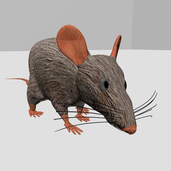 3d model rat mouse