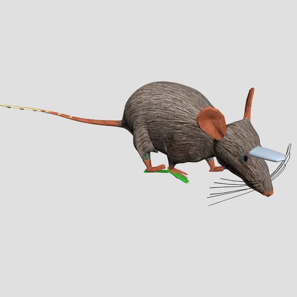 3d model rat mouse