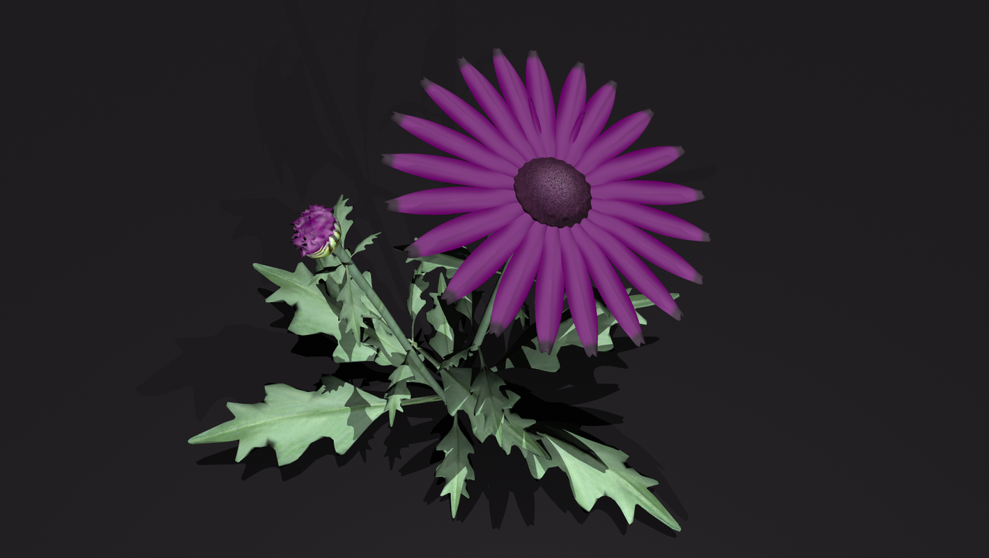 3d model daisy