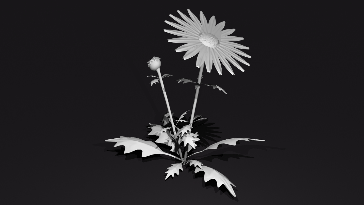 3d model daisy