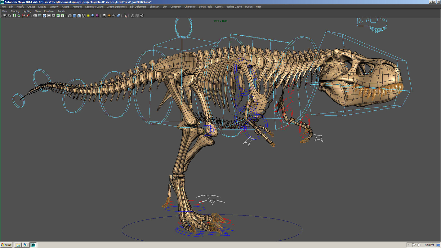 t rex muscle ma