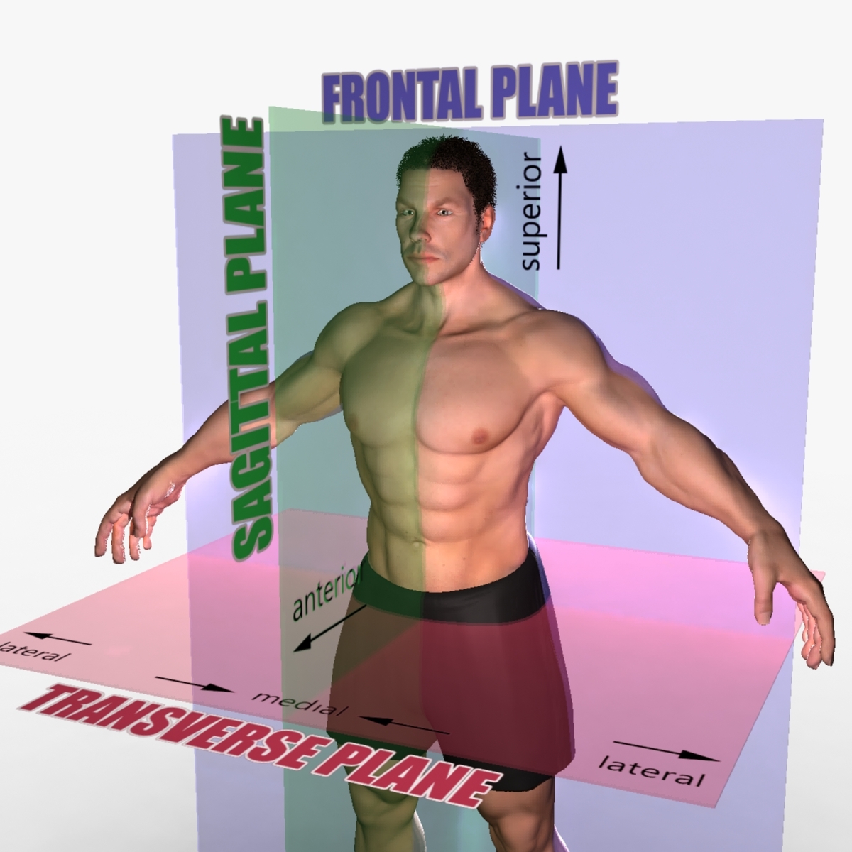 3d planes body male