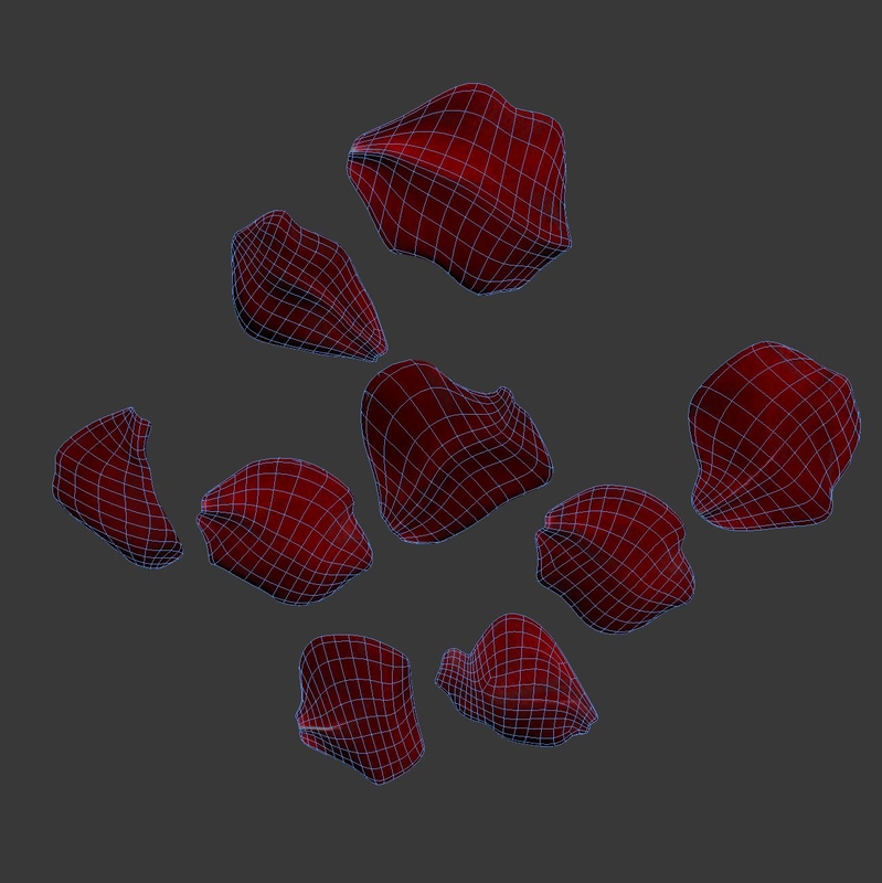 3d model rose petals