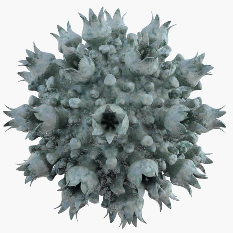 3d micro object mht model