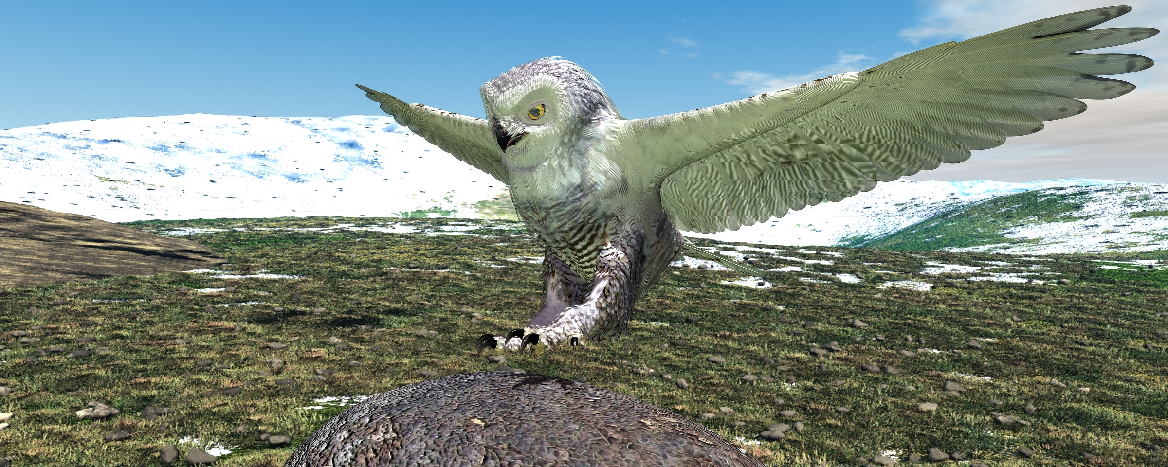 snowy owl 3d model