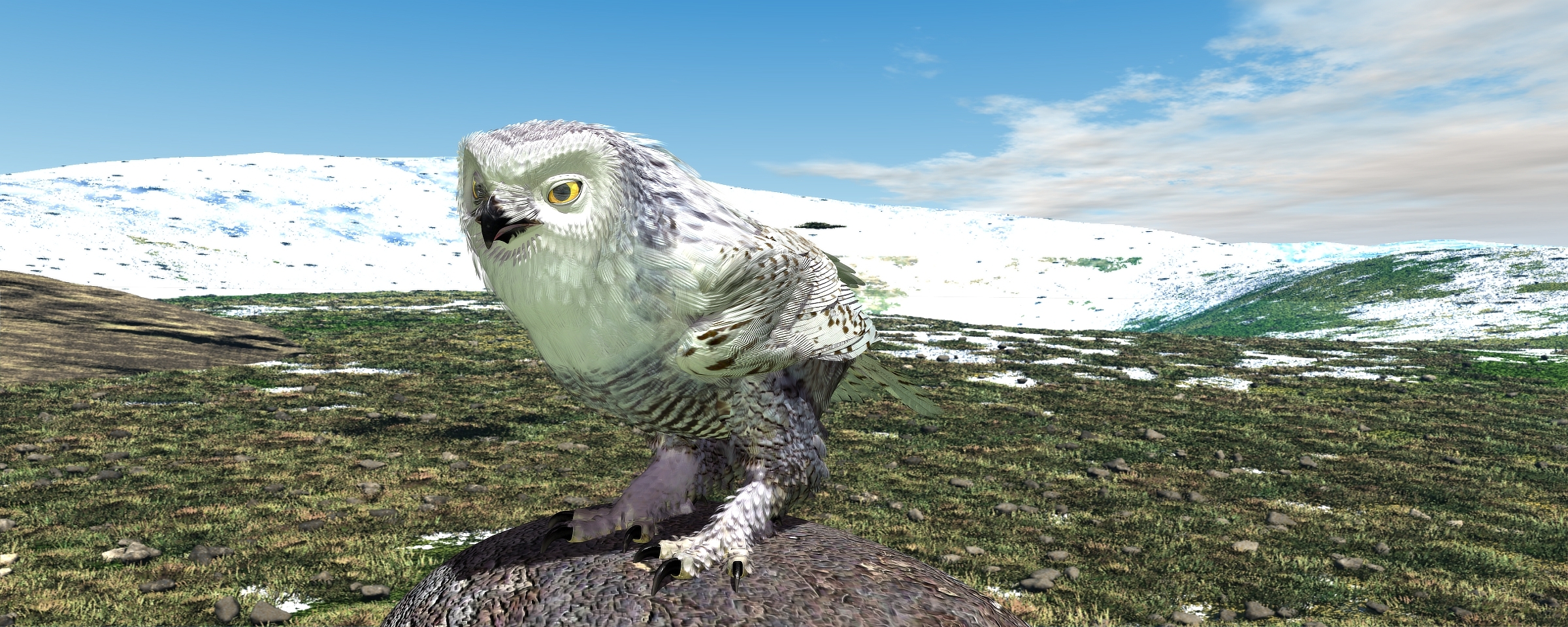 snowy owl 3d model