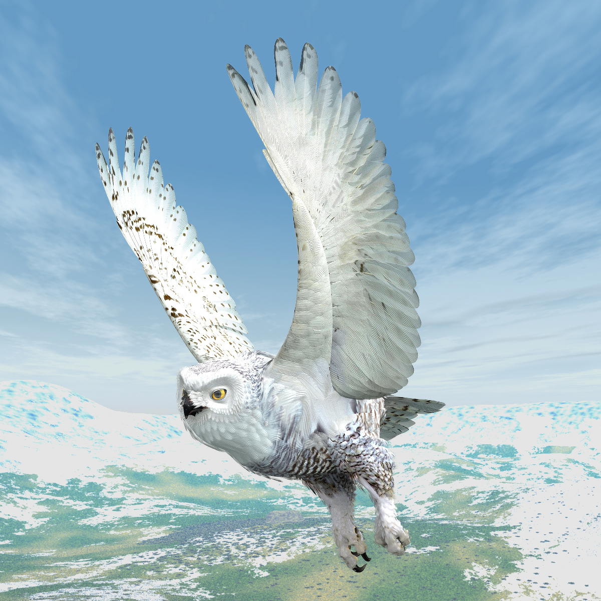snowy owl 3d model