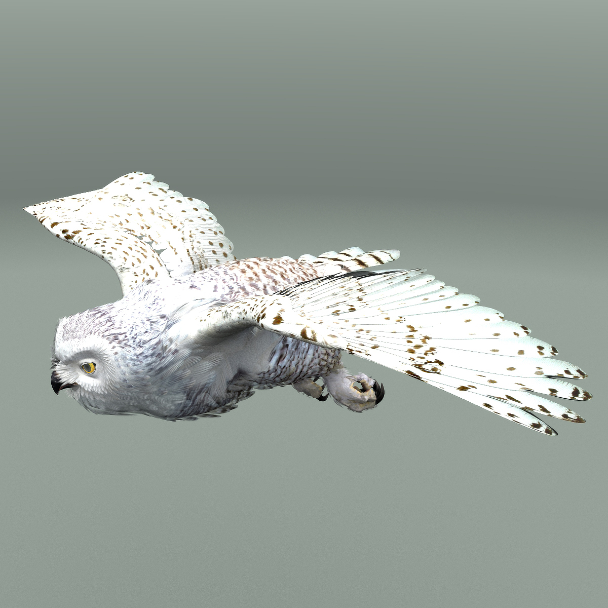 snowy owl 3d model