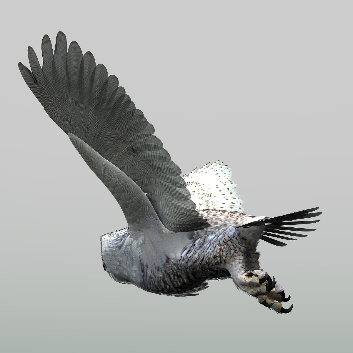 snowy owl 3d model