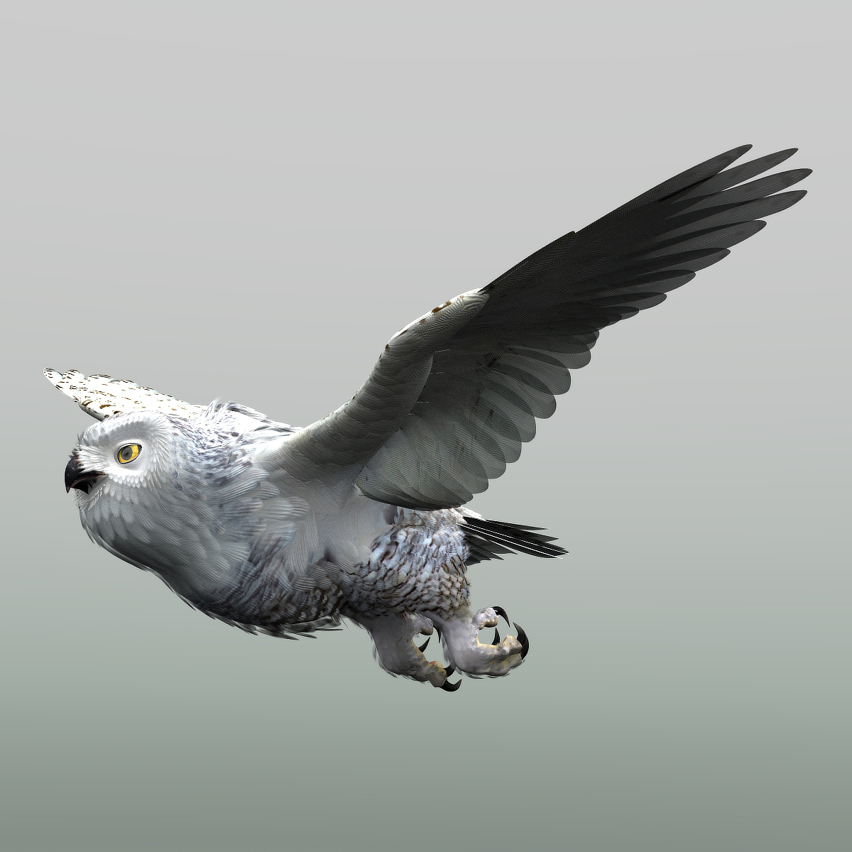 snowy owl 3d model