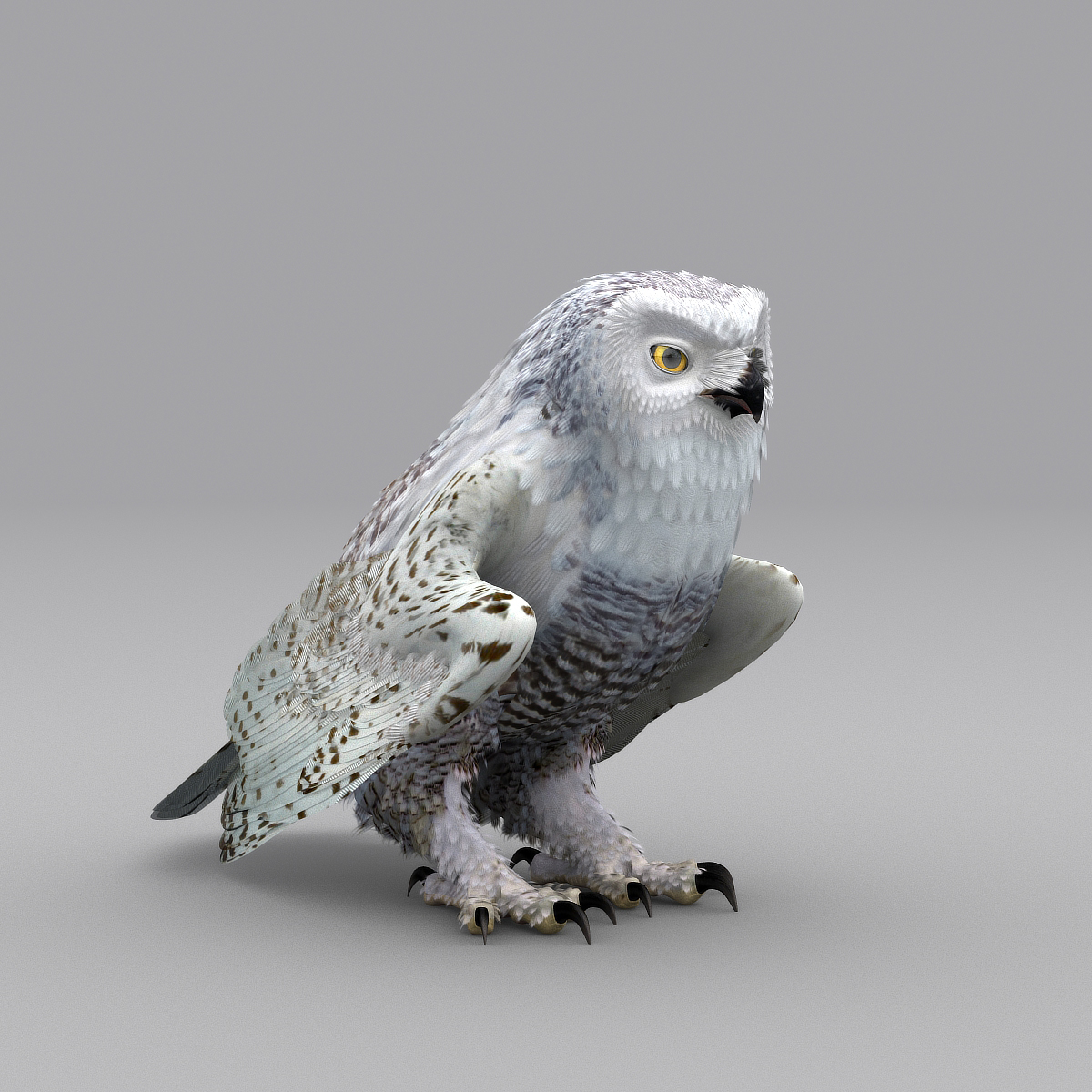 snowy owl 3d model