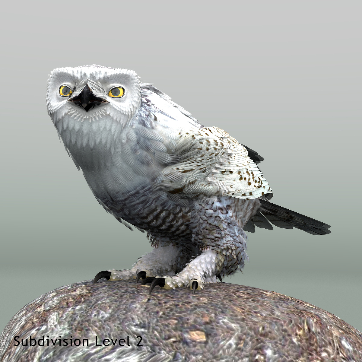 snowy owl 3d model