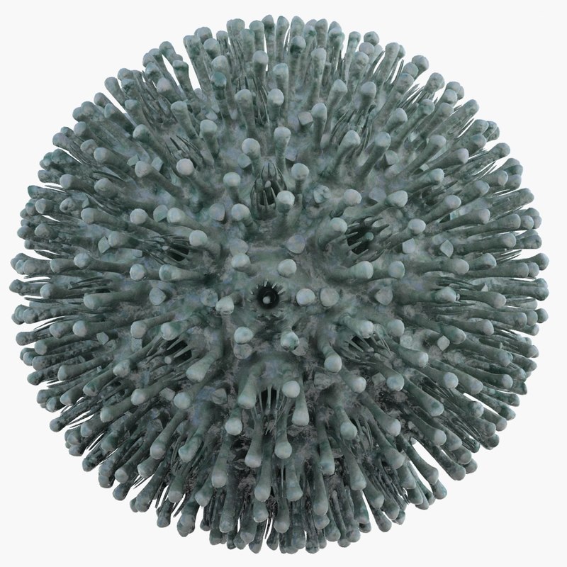 3d model micro object mht