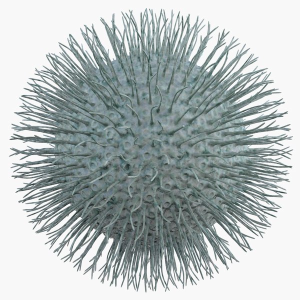 micro object mht max