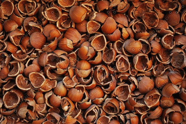 Texture JPEG nut texture hazelnut