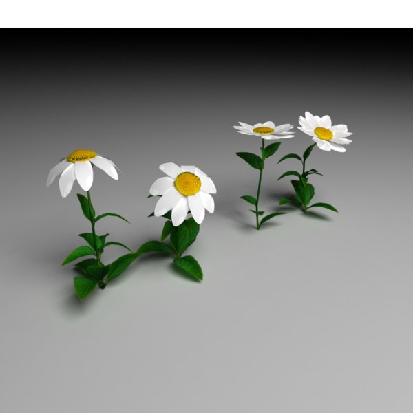 3d flowers model