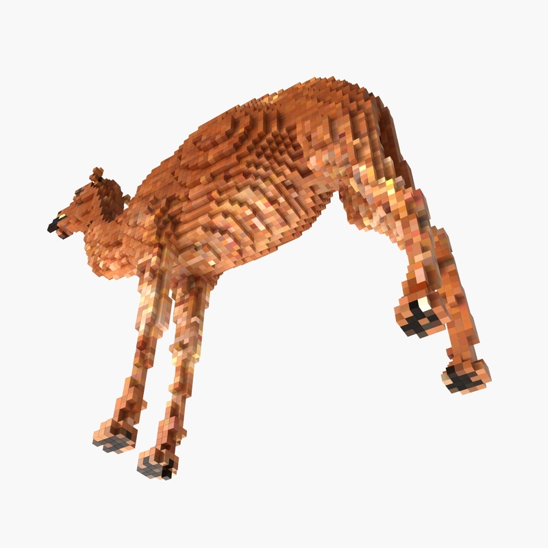 3d model 8 voxel animals