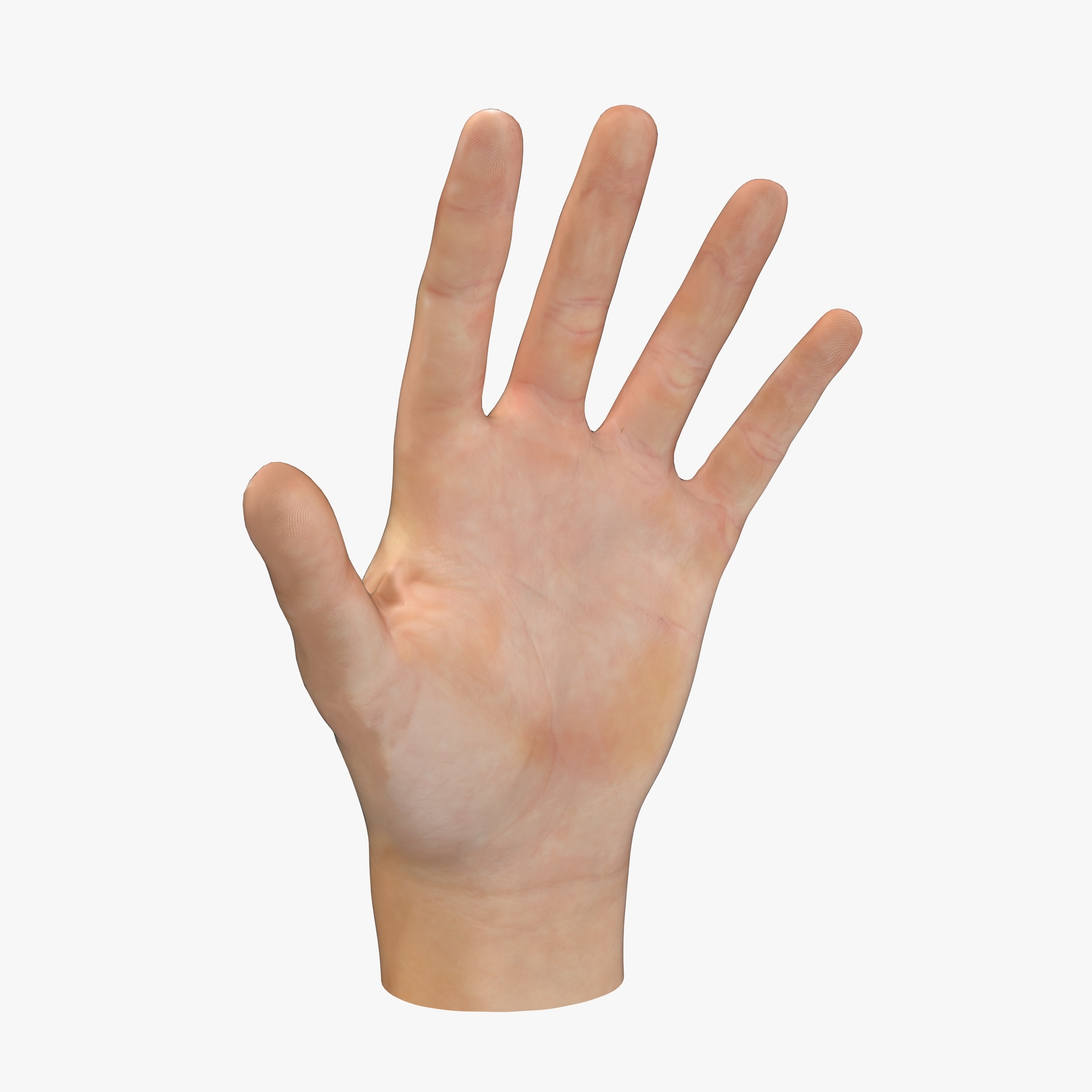 3d hand rigged poses skin