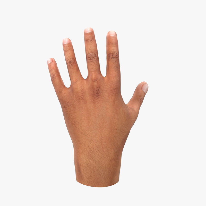 3ds max hand rigged poses skin