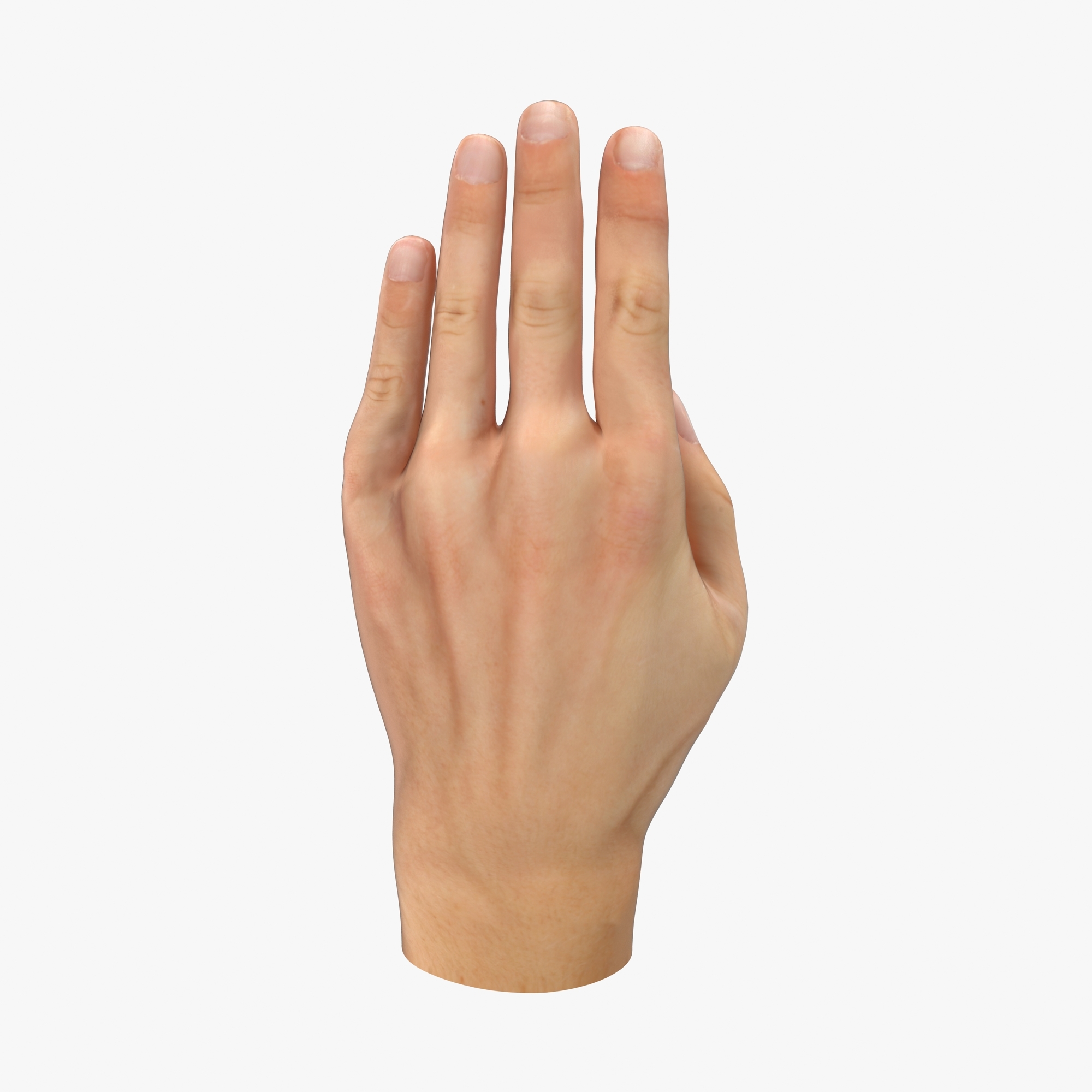 3d hand rigged poses skin