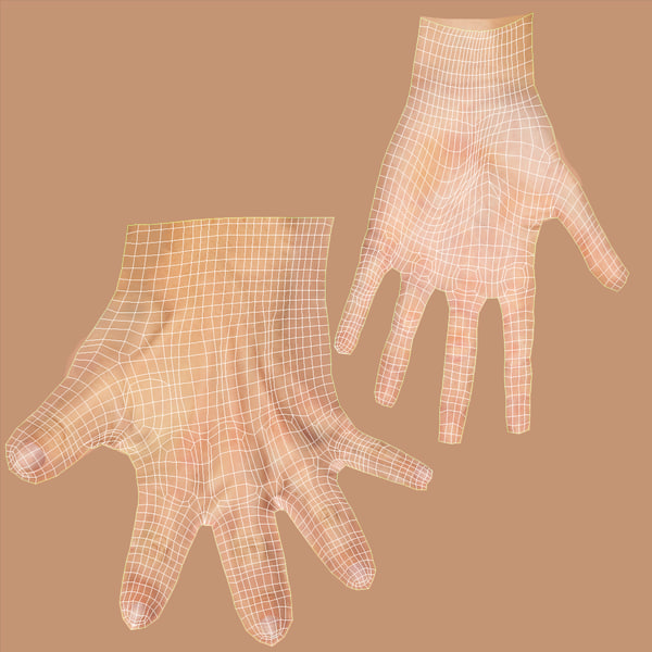 3d hand rigged poses skin