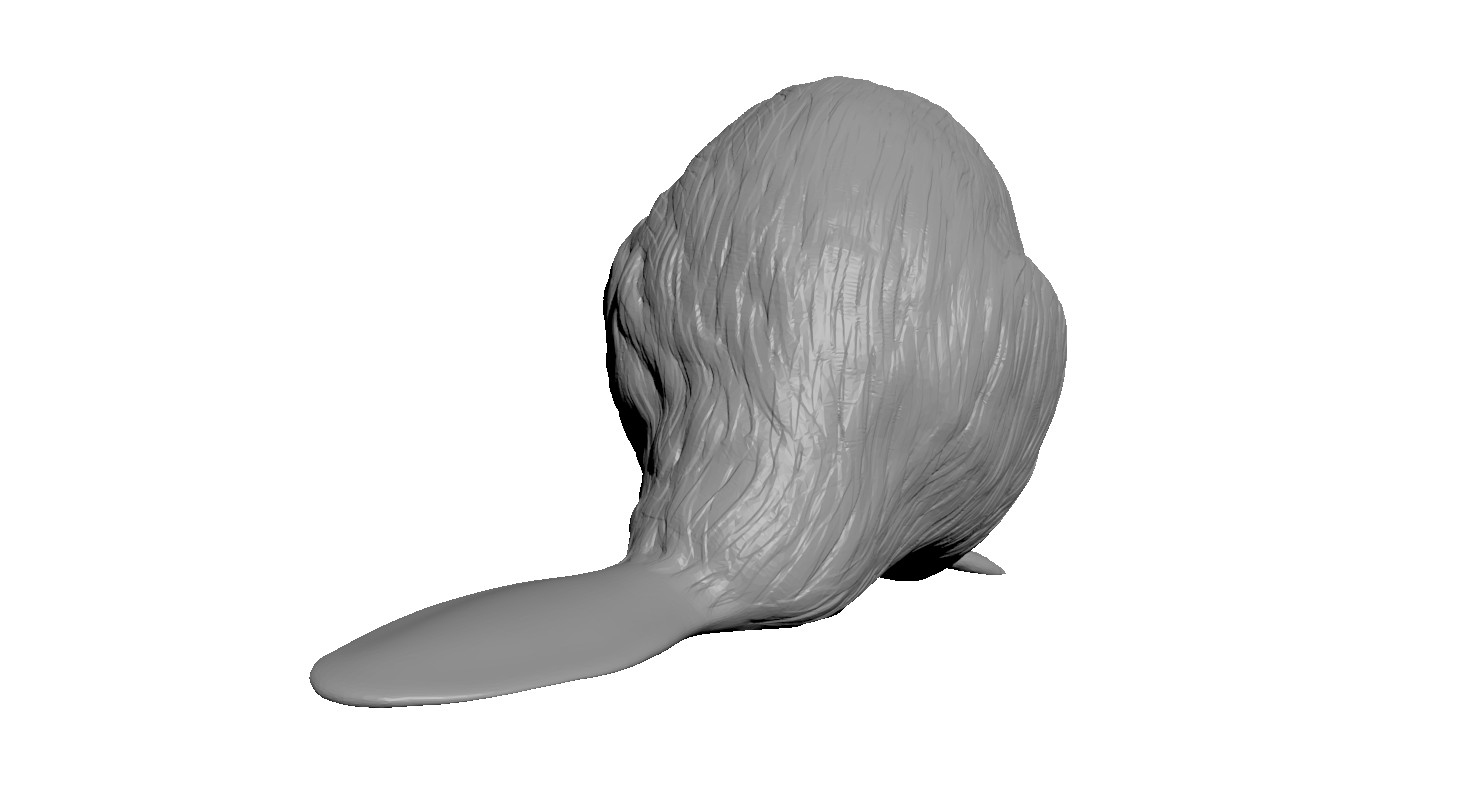 north american beaver 3d obj