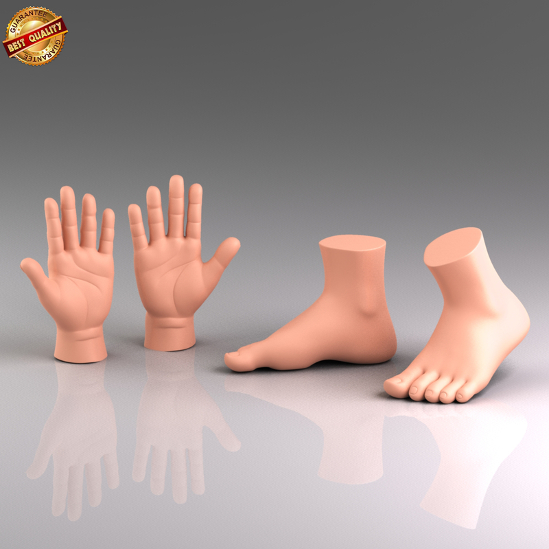 modeled anatomy medical 3d model