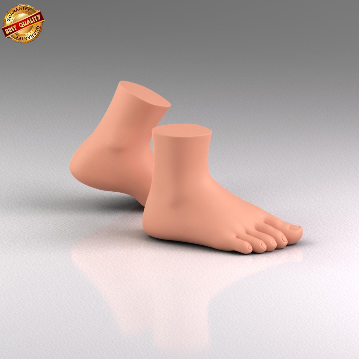 modeled anatomy medical 3d model