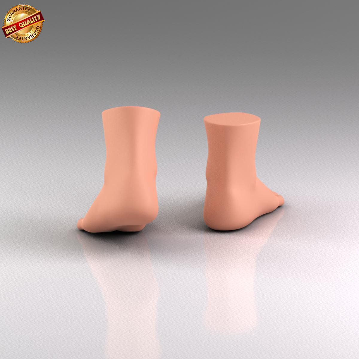 modeled anatomy medical 3d model